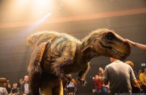 What’s On | The Stables